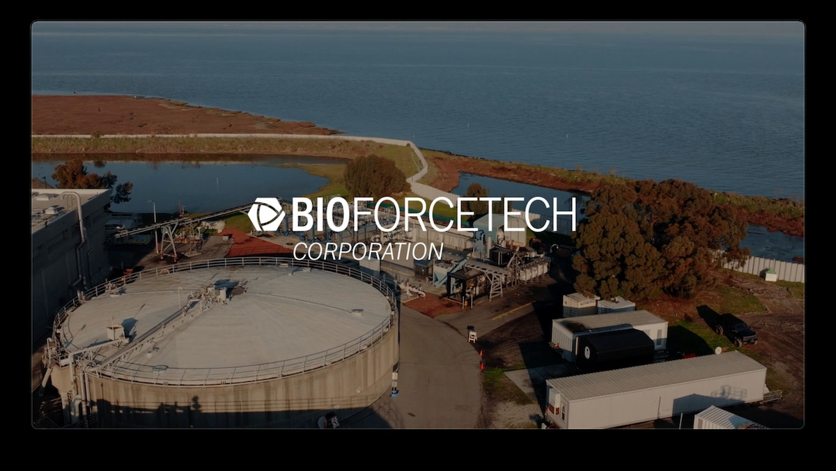 301 Moved Permanently